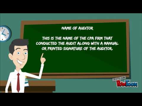 Independent Auditor's Report