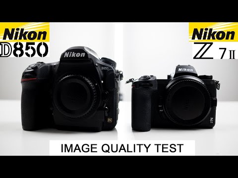Nikon Z7 II vs D850: Comparing image quality (1653)