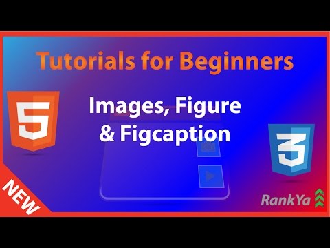 Figure, Figcaption, IMG tag - html5 & CSS Course - Full html5 Course for FREE
