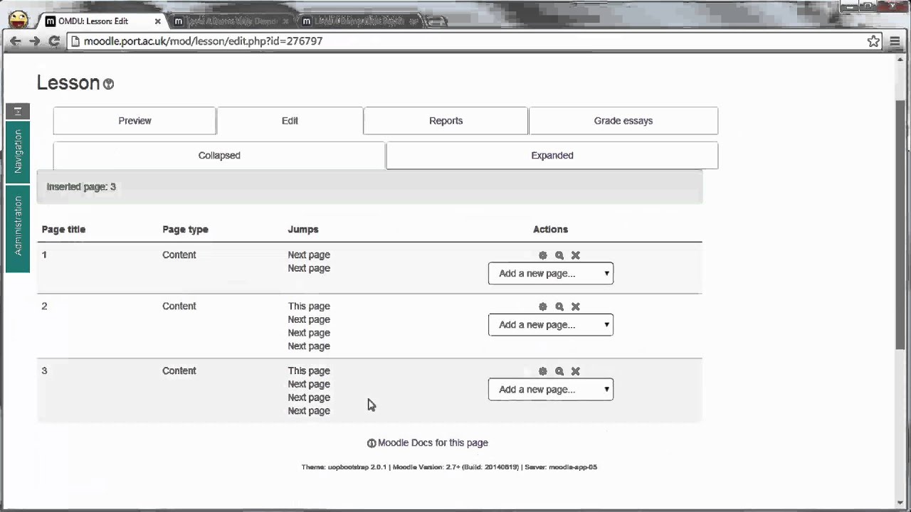 Using the Lesson Activity