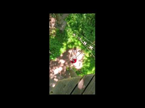 Watch Your Step!