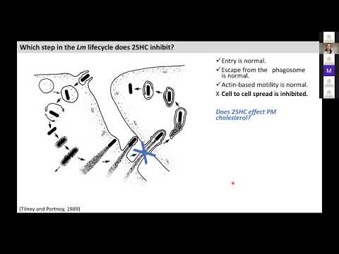 LRD Seminar Series, July 10, 2020: Lipids in inflammation and immunity