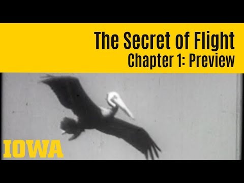 The Secret of Flight–Dr. Alexander Lippisch | BruceAir, LLC (bruceair.com)