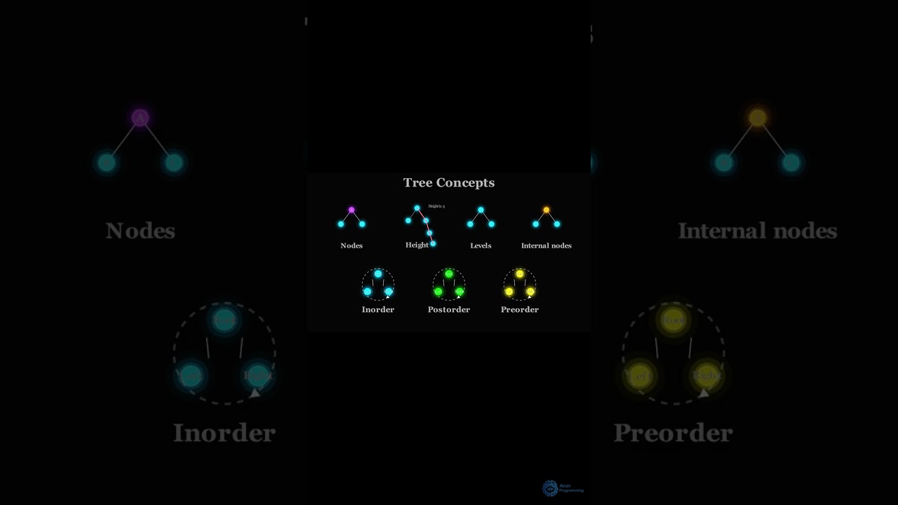 Tree Data Structure Visualization | Interactive Dashboard (Manim) 🌳