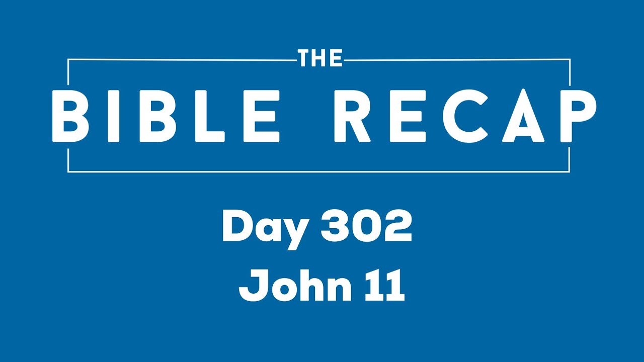Day 302 (John 11)