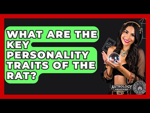 What Are The Key Personality Traits Of The Rat? - Astrology Awakening