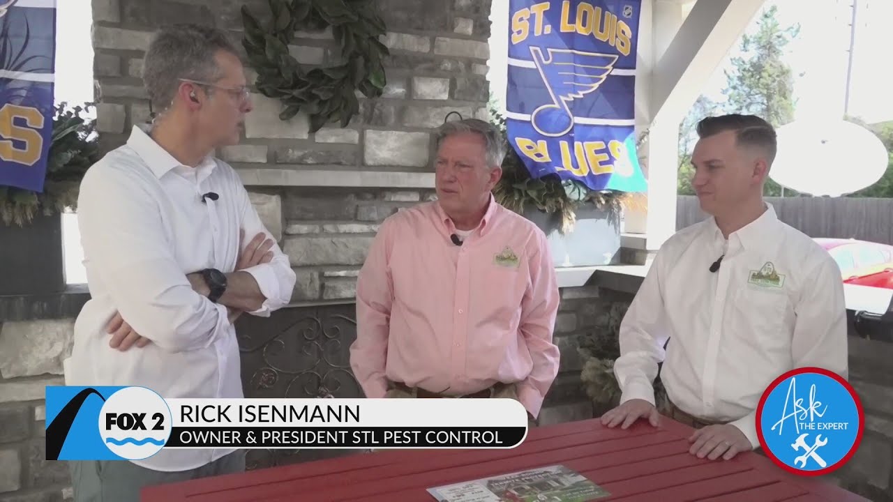 STL Pest Control warn of rising spring invasions in St. Louis homes and yards