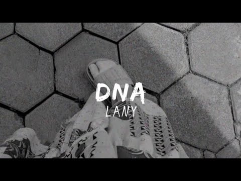 LANY 'DNA' Lyrics