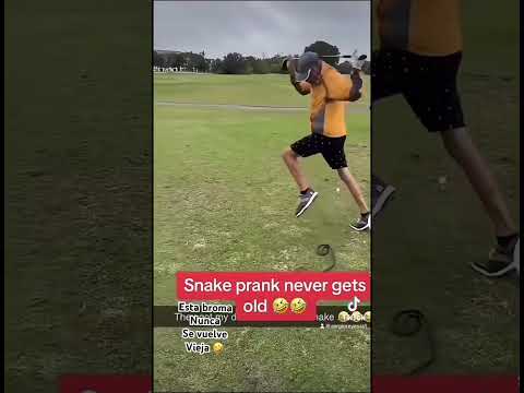 Una Serpiente 🫣😭😭#snake#serpiente#humor#amlo#mexico#golf#broma#prank#viral#funny