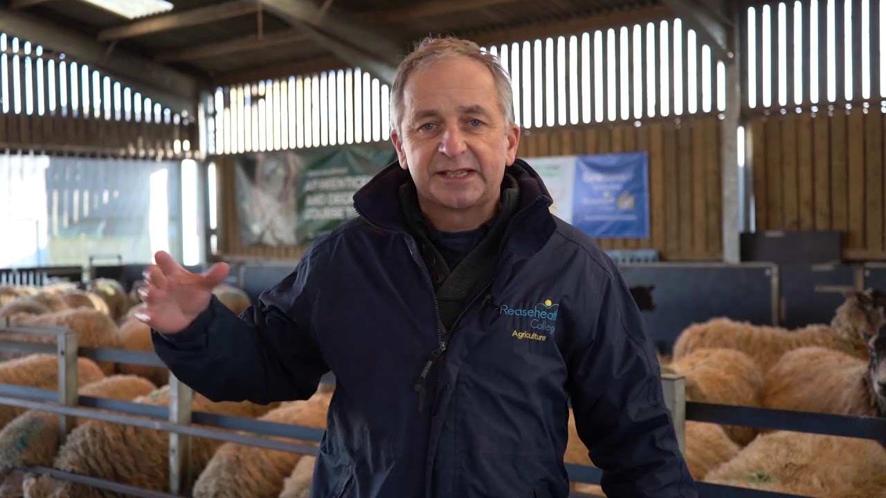 Reaseheath Lambing Bitesize: Session 1 for KS2 (Years 3-6)