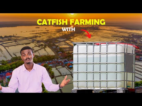 100 Catfishes Farm Setup (Tutorial) - Backyard square tank farming