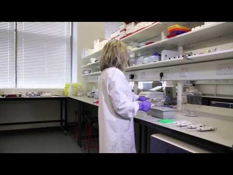 How to set up a PCR