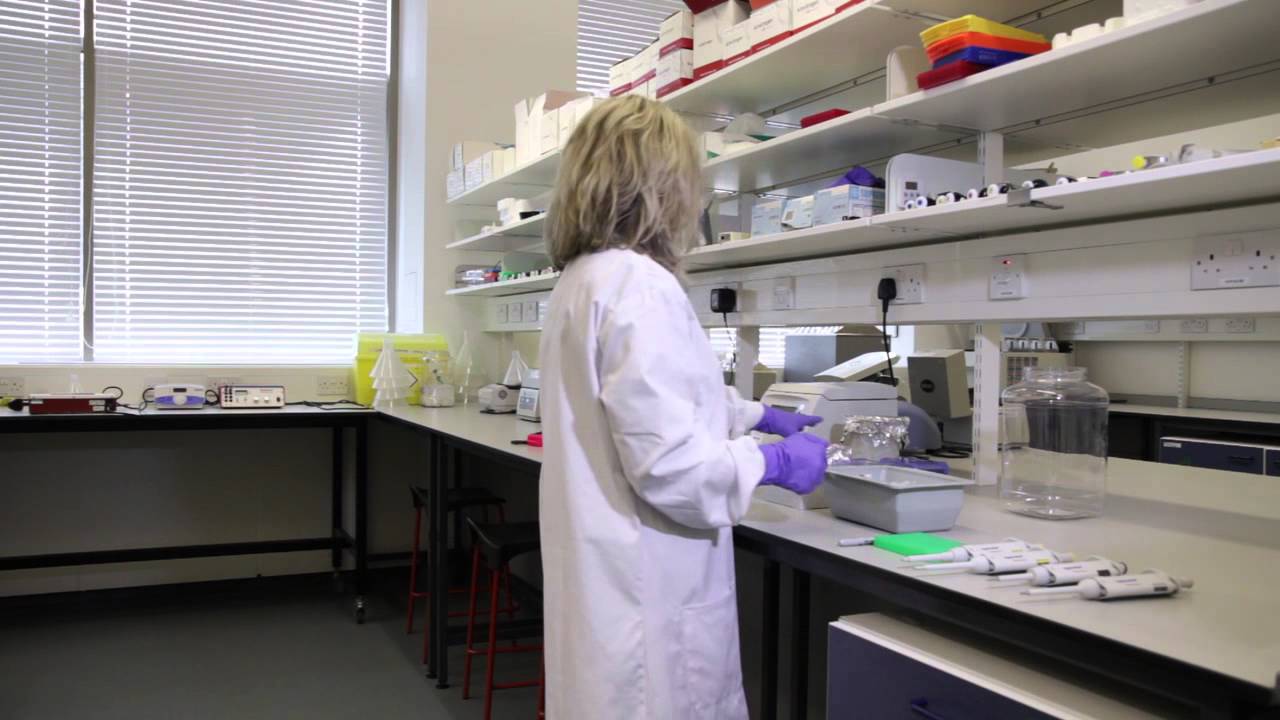 How to set up a PCR