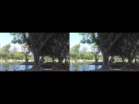 Stereoscopic 3D: Nature Slideshow