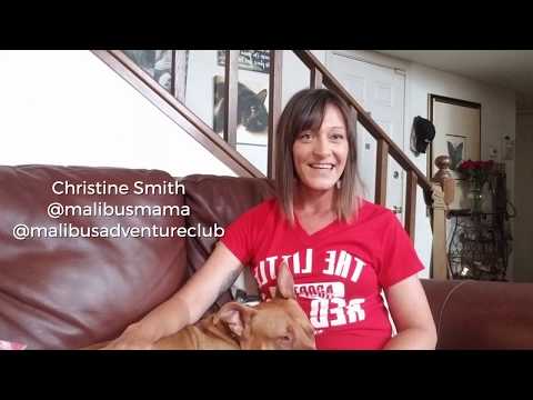 Christine Smith @malibusmama Shares Her Dog Rescue Story | The Little Red Dog Telethon