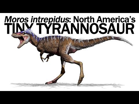 Tiny Ancestor of T. Rex Discovered