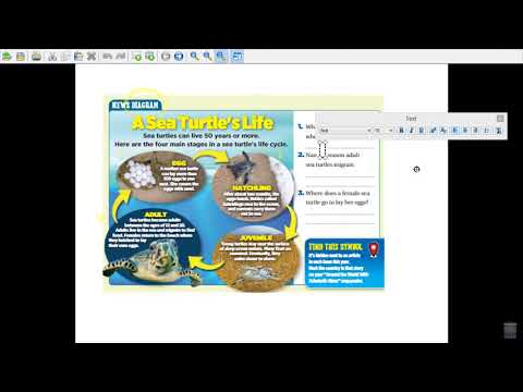 Scholastic News Answers