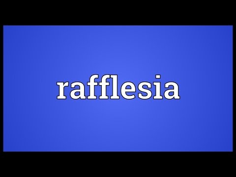 Rafflesia Meaning