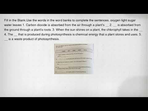 Fill in the Blank.Use the words in the word banks to complete the sentences. oxygen light sugar wate