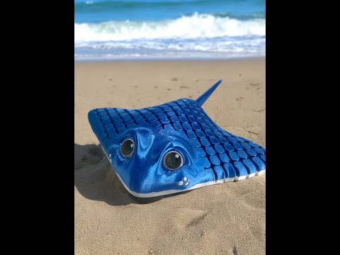 Ray the Manta Ray - Flexi 3D