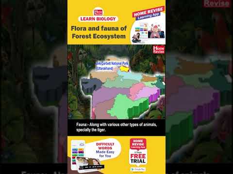 Flora and fauna of Forest Ecosystem | Learn Biology with Home Revise