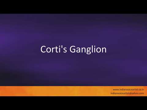 Pronunciation of the word(s) "Corti's Ganglion".