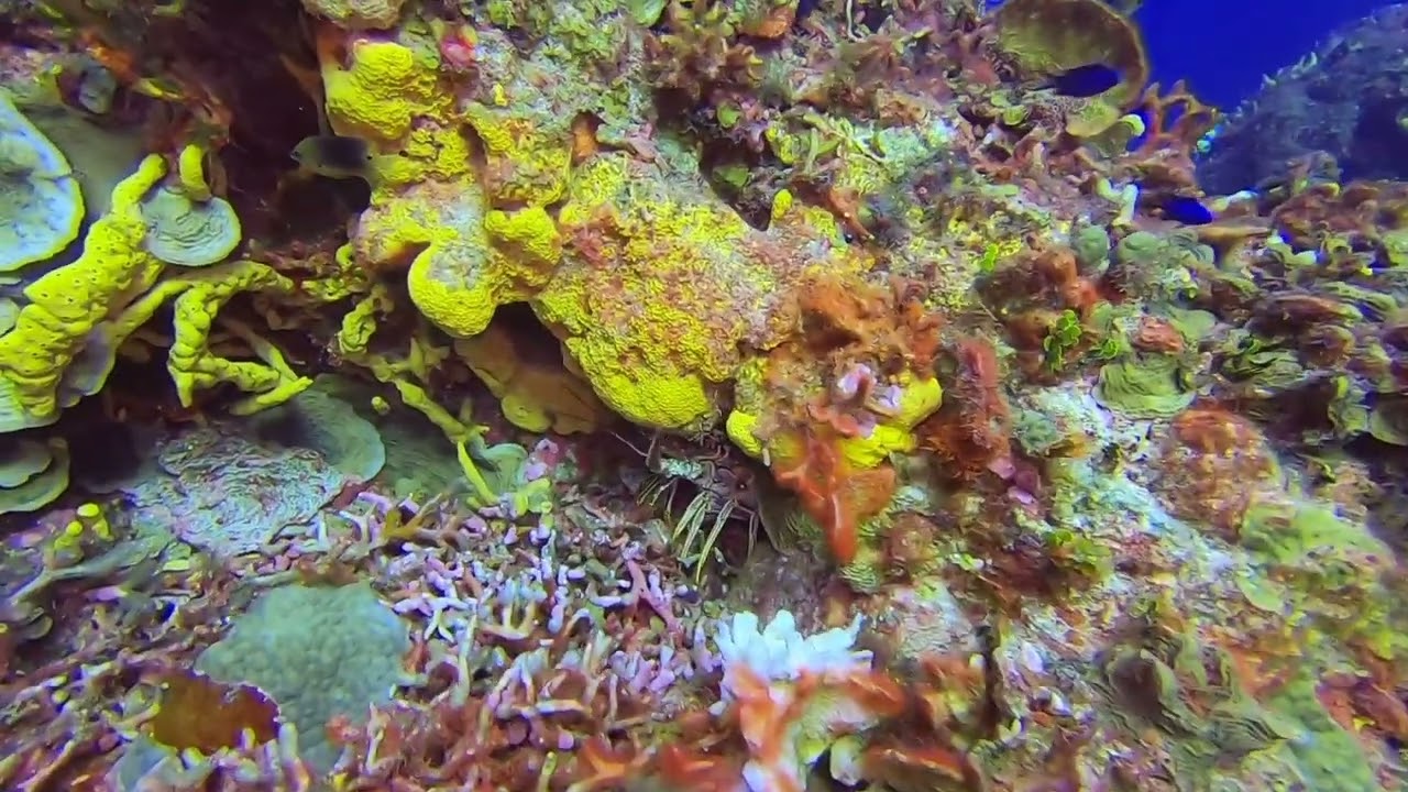 2024 01 Cozumel