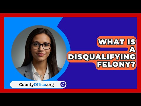 What Is A Disqualifying Felony? - CountyOffice.org