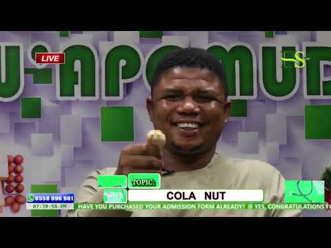 Hidden Benefits Of Cola Nut