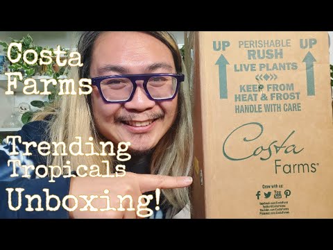 COSTA FARMS TRENDING TROPICALS UNBOXING!!!