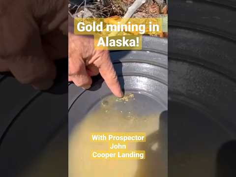 Gold Mining in Alaska with Prospector John! #alaska #gold #mining #summer #cooperlanding #adventure