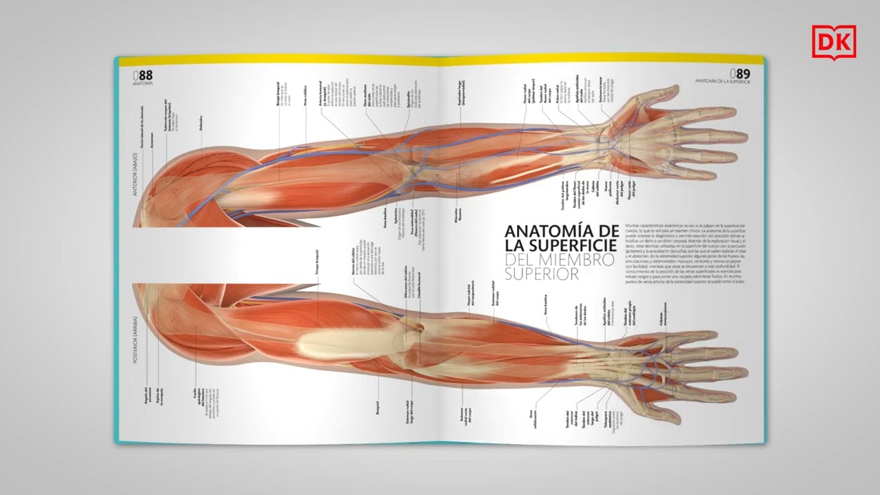 El gran libro del cuerpo humano