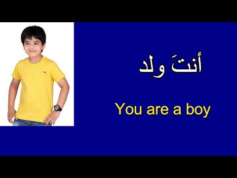 Arabic Pronouns Part-1/Ana,Anta,Ante= Use of I & You (Arabic)