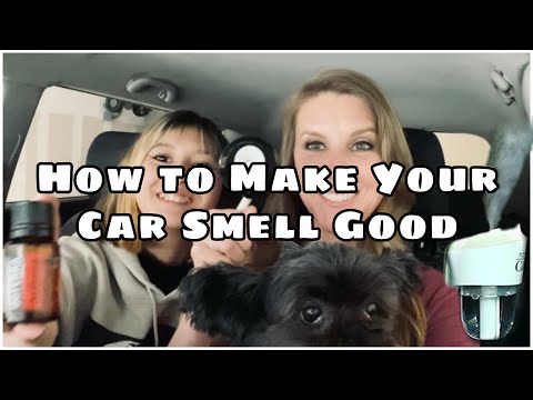 How to Make Your Car Smell GOOD Without Using TOXIC Air Fresheners. Essential Oil Diffusers & More!