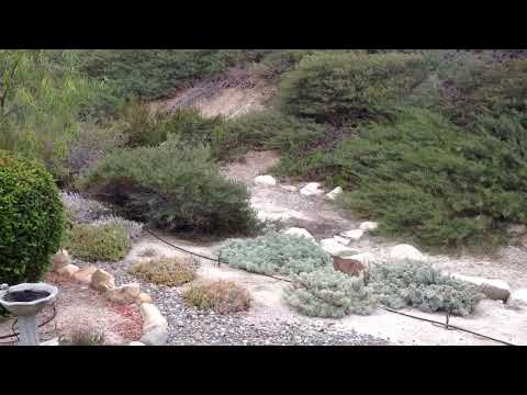 Jojoba Hills Bobcats