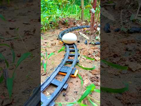 Train VS Eggs