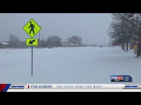 Pet Advice: Protecting your pet's paws in winter weather