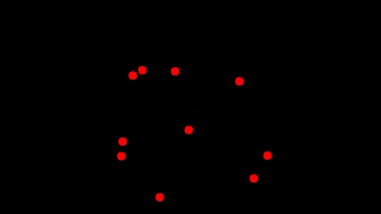 The multiple object tracking task