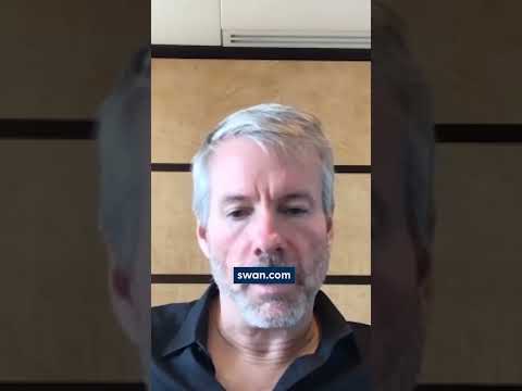 Michael Saylor vs Nassim Taleb