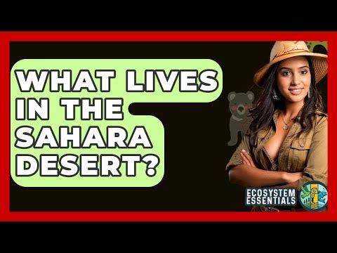 What Lives In The Sahara Desert? - Ecosystem Essentials