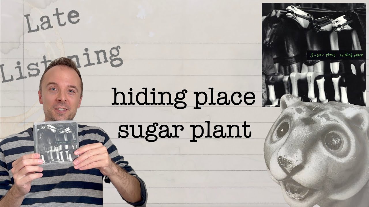 Japanese dream pop 90s debut: sugar plant's hiding place