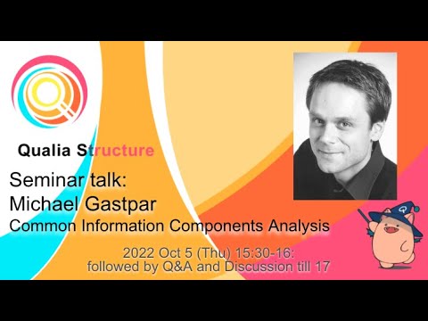 Seminar talk: Michael Gastpar "Common Information Components Analysis"