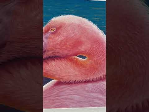 🎨 Pastel portrait of a Flamingo, full ‘how to’ video now live on my channel.
