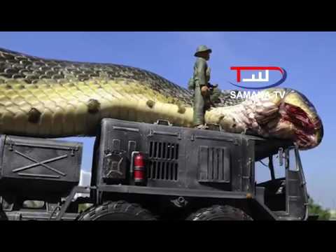 AnteCube: The Most Fun You Will Have With a Pile of Cards – Sid-Writes