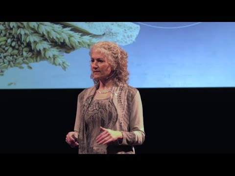 STEM Education and the Domino Chain Reaction | Bonnie Schmidt | TEDxWesternU