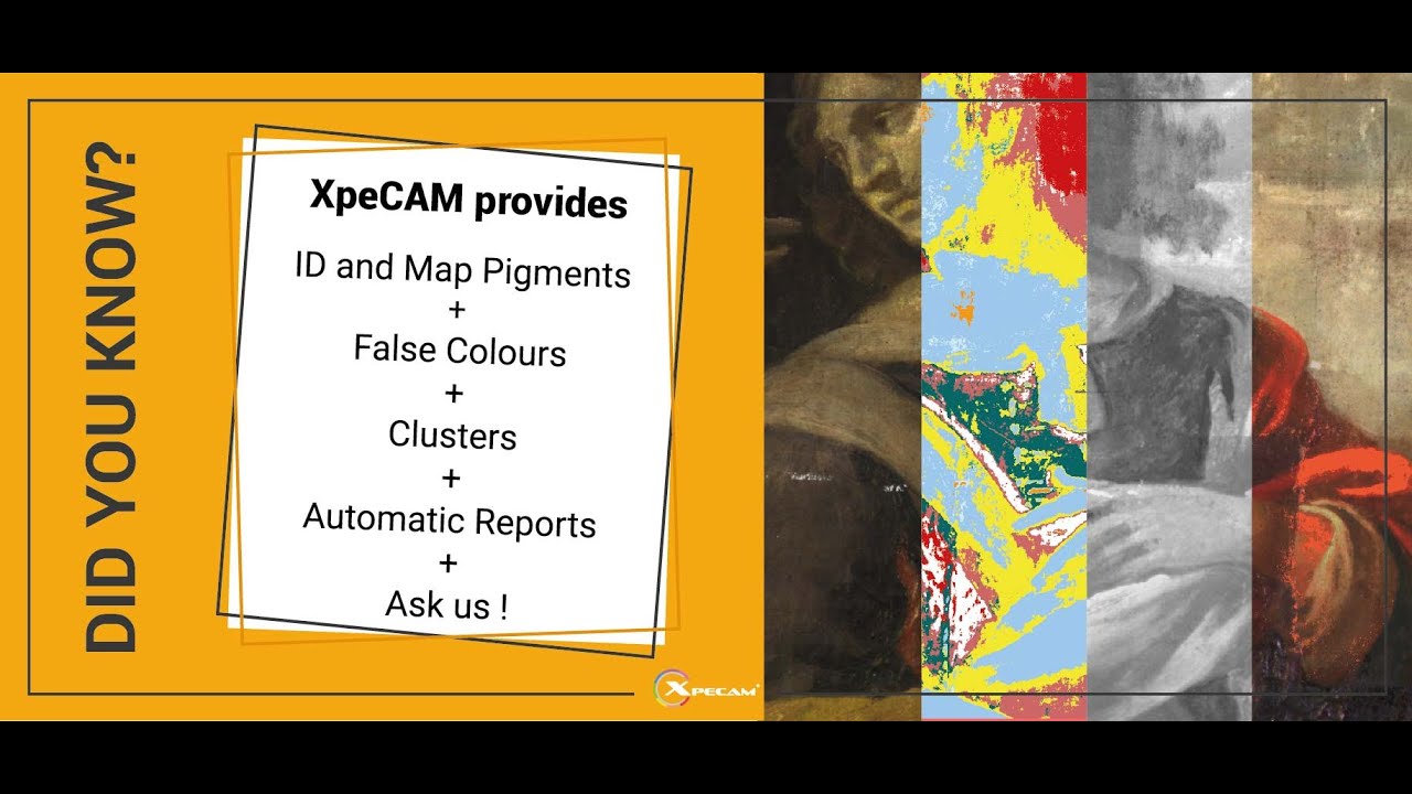 XpeCAM: The Complete Solution for Artwork Documentation and Analysis