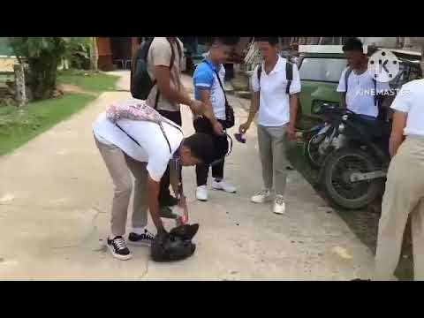Interaction between Human and Environment | Environmental Science