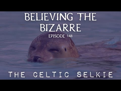 The Celtic Selkie | Human - Seal Norse Mythology