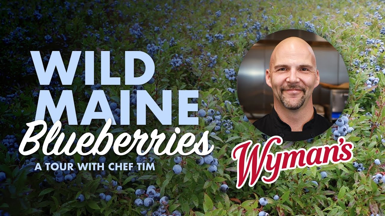 Wild Maine Blueberries, Touring Wyman's with Chef Tim