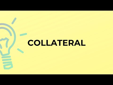 What is the meaning of the word COLLATERAL?